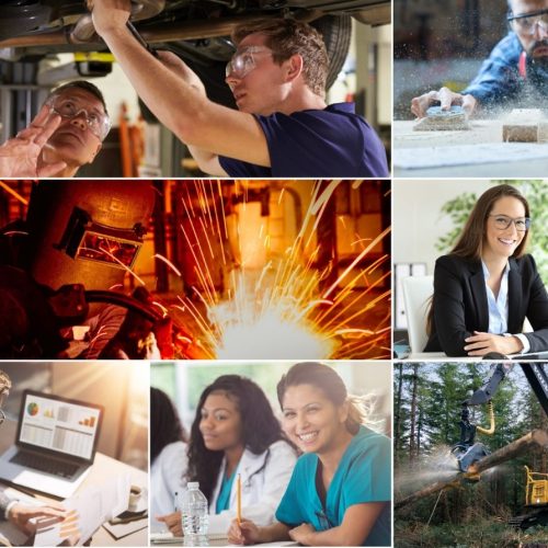 Pourquoi choisir la FORMATION PROFESSIONNELLE? | Destination formation ...